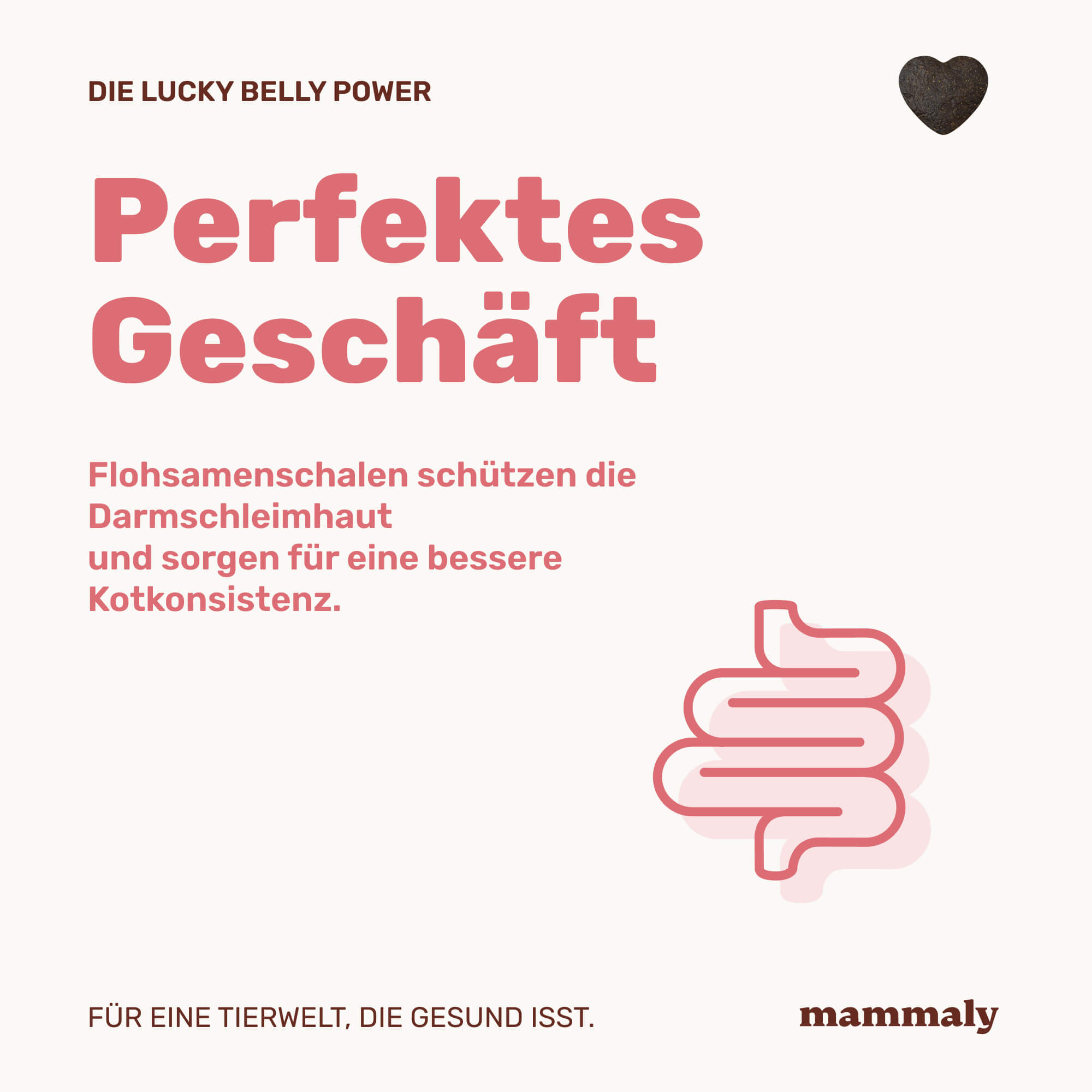 Lucky Belly | Snacks für eine natürliche Darmgesundheit