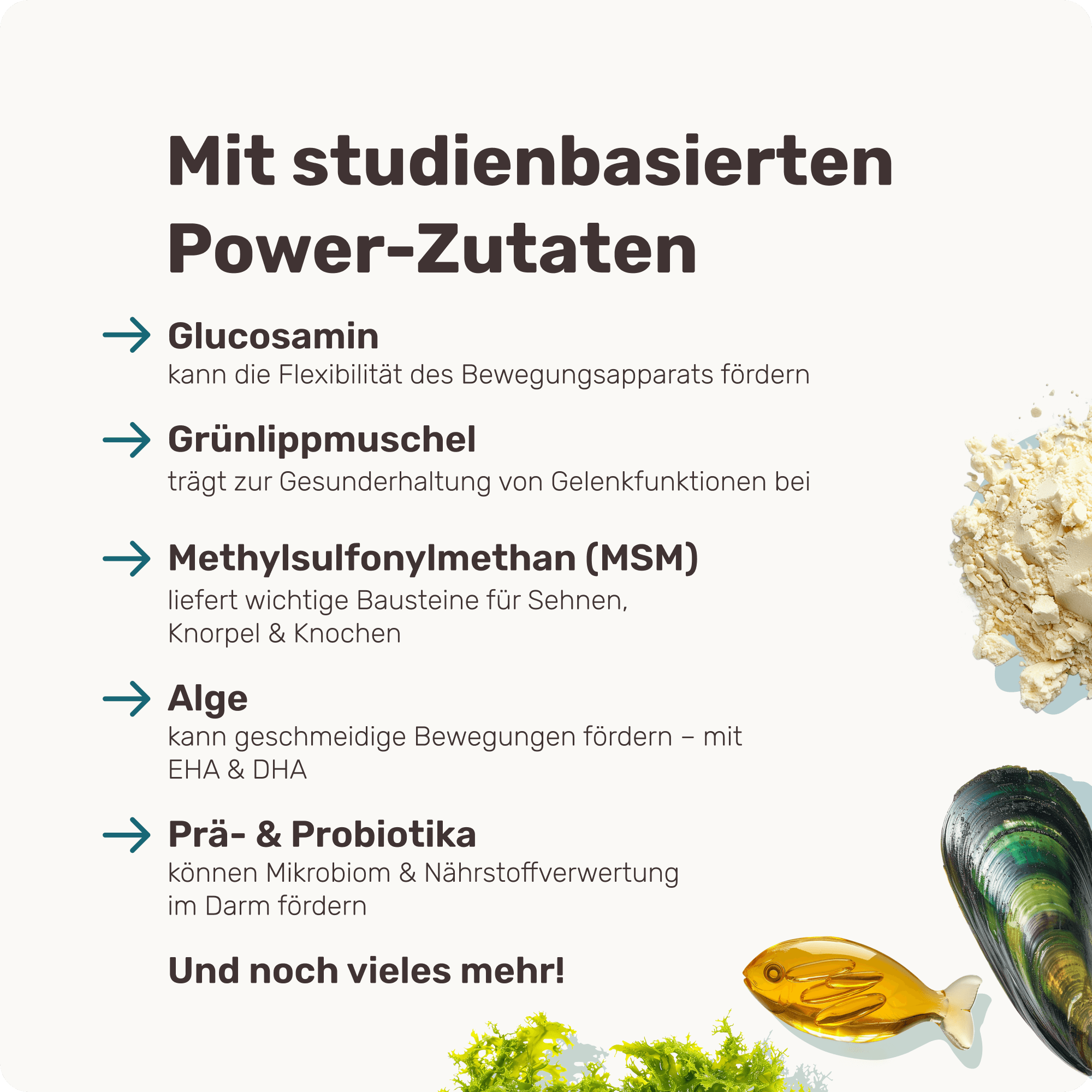 Gelenkpulver für Hunde | Active Hips Topping | mammaly